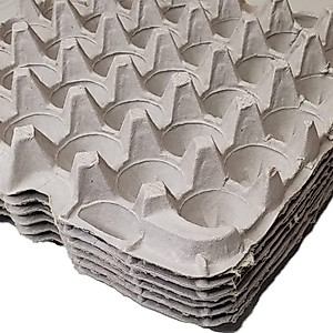 Dubia Roach Colony Starter Kit, 1Lb Organic Feeder Insect Gut Loading Chow, Water Crystals, 6 Egg Flats, for Breeding Insects, Cricket Alternative, for Bearded Dragons, Leopard Geckos, Reptiles