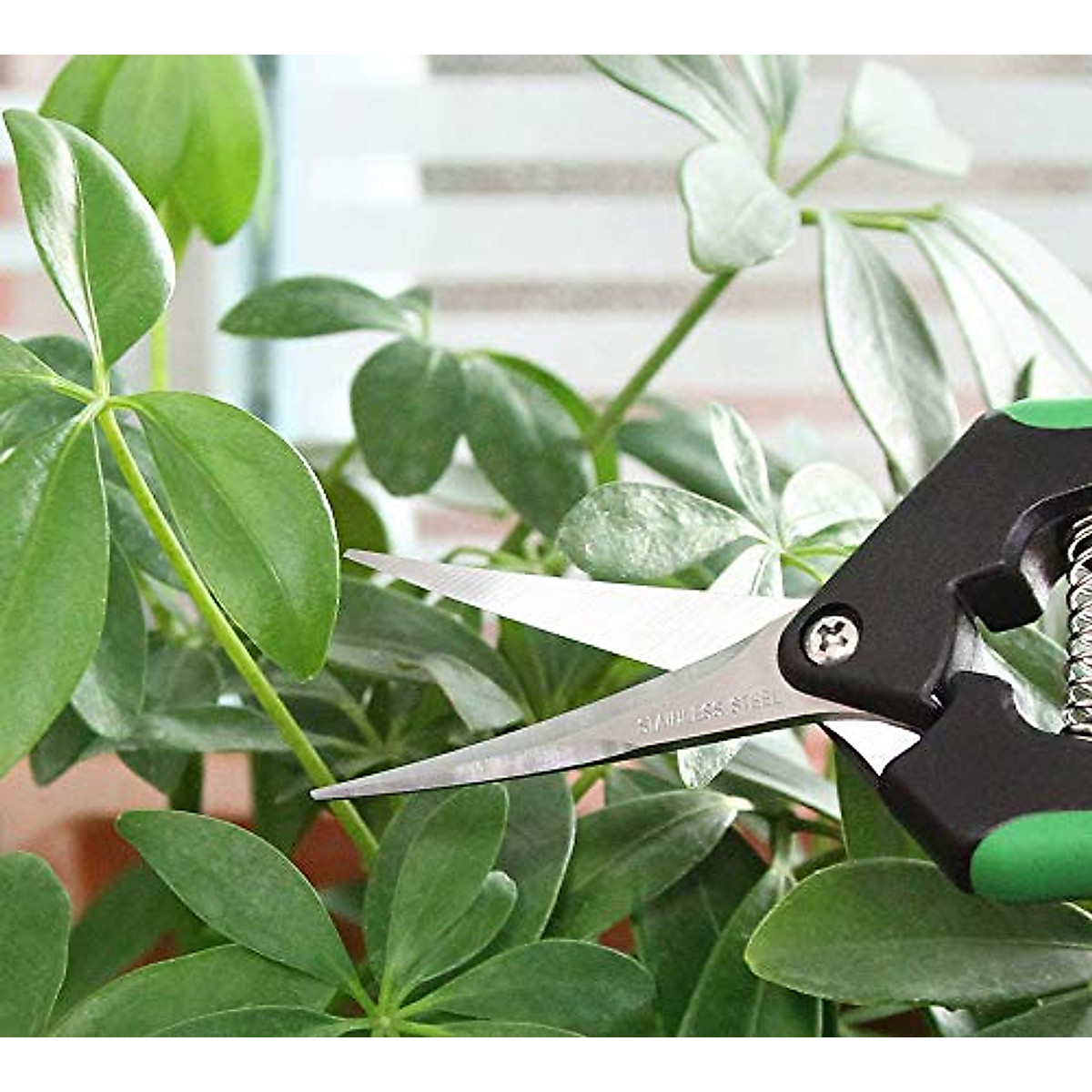 LDK Gardening Hand Pruner Pruning Snip Pruning Shears for Bud, Garden Trimming Scissors with Stainless Steel Curved Blades, 6.5-Inch