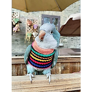 HEZHUO Parrot Bird Supplies, Light Flying Clothes, Warm and Comfortable, Tiger Skin, Green Cheek Parrot, Little Sun Parrot, Monk Parrot, Starling, mynah, Senegal Parrot, Mini Macaw Sweater (4XL)
