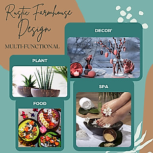 ENEOCARE Set of 6 Natural Coconut Bowls and Wooden Spoon Sets | Organic Reusable Eco-friendly Smoothie Bowls and Spoons, Forks | Perfect for Smoothie Bowls, Acai Bowls, Buddha Bowls (6)