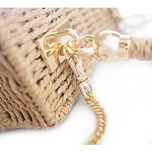 Handwoven Rattan vintage purse Bag Natural Chic Casual Handbag Beach Sea tote Basket Straw vacation Bag (Brown)