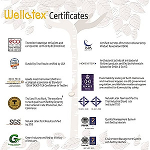 Wellatex 7 Zone 3 Inch Soft 100% Natural Premium Latex Mattress Topper Queen (Flammability Safety Certified)