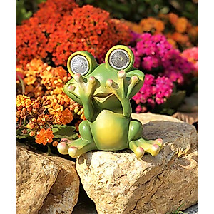 TIBLEN Solar Powered Frog Outdoor LED Garden Light Decor (See - NO)