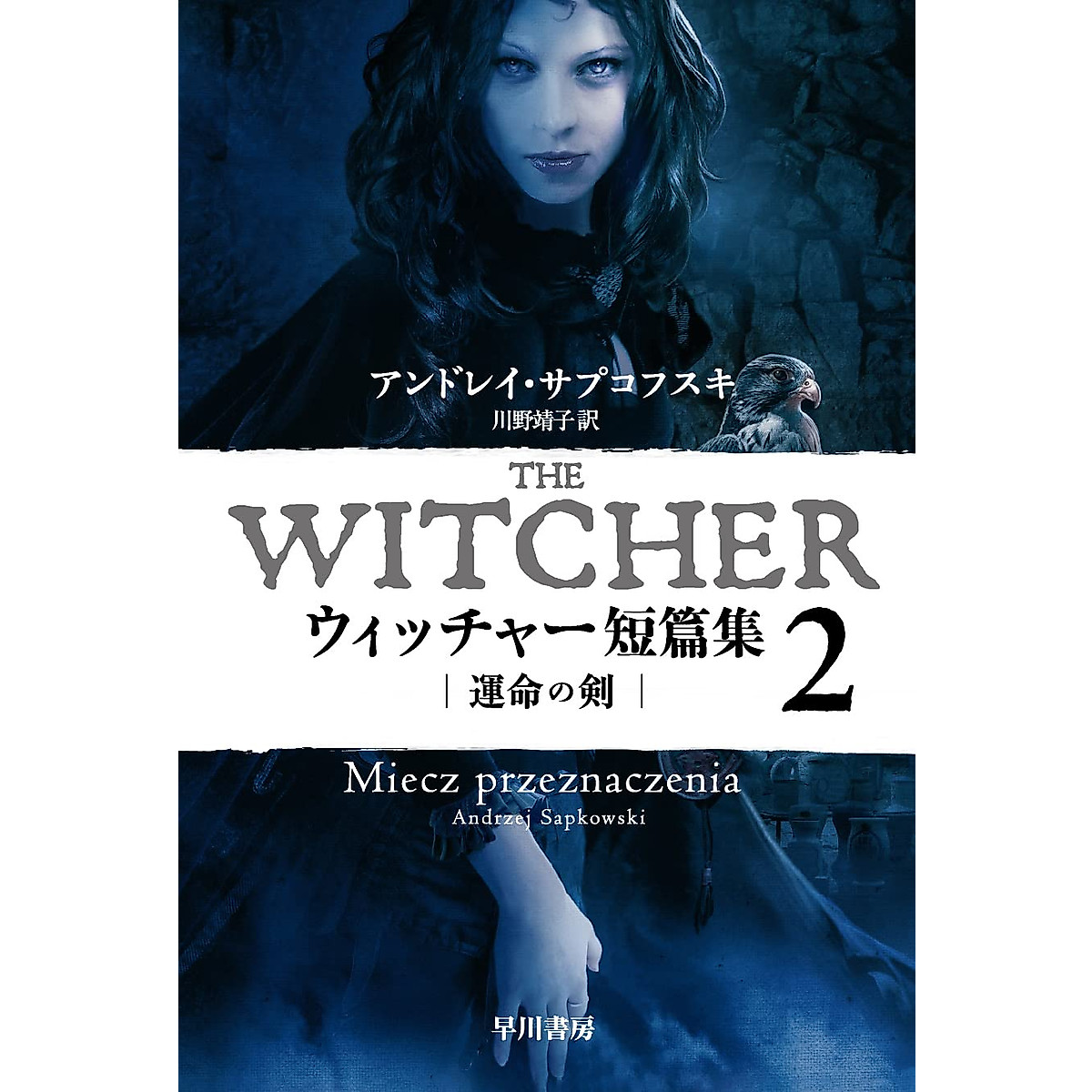 ウィッチャー短篇集2 運命の剣 (ハヤカワ文庫FT)