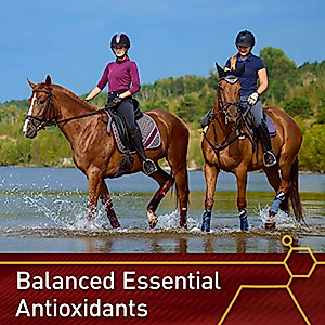 Vita Flex Pro E and Horse Selenium Supplement, Balanced Essential Antioxidants, 20 Pound, 320-Day Supply