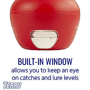 TERRO T2502 Ready-to-Use Indoor Fruit Fly Trap with Built in Window - 2 Traps + 90 day Lure Supply