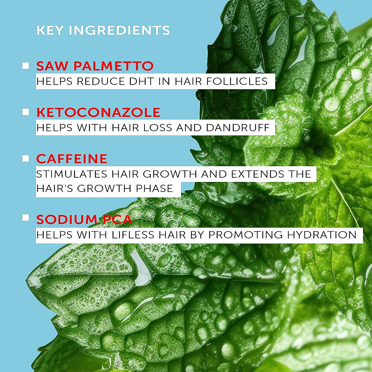 Sent From Earth Caffeine & Saw Palmetto Ketoconazole Biotin dandruff Treatment: Antifungal for Psoriasis, Folliculitis, Dermatitis, Dry Itchy Scalp Vegan Advanced Natural Formula Peppermint Shampoo