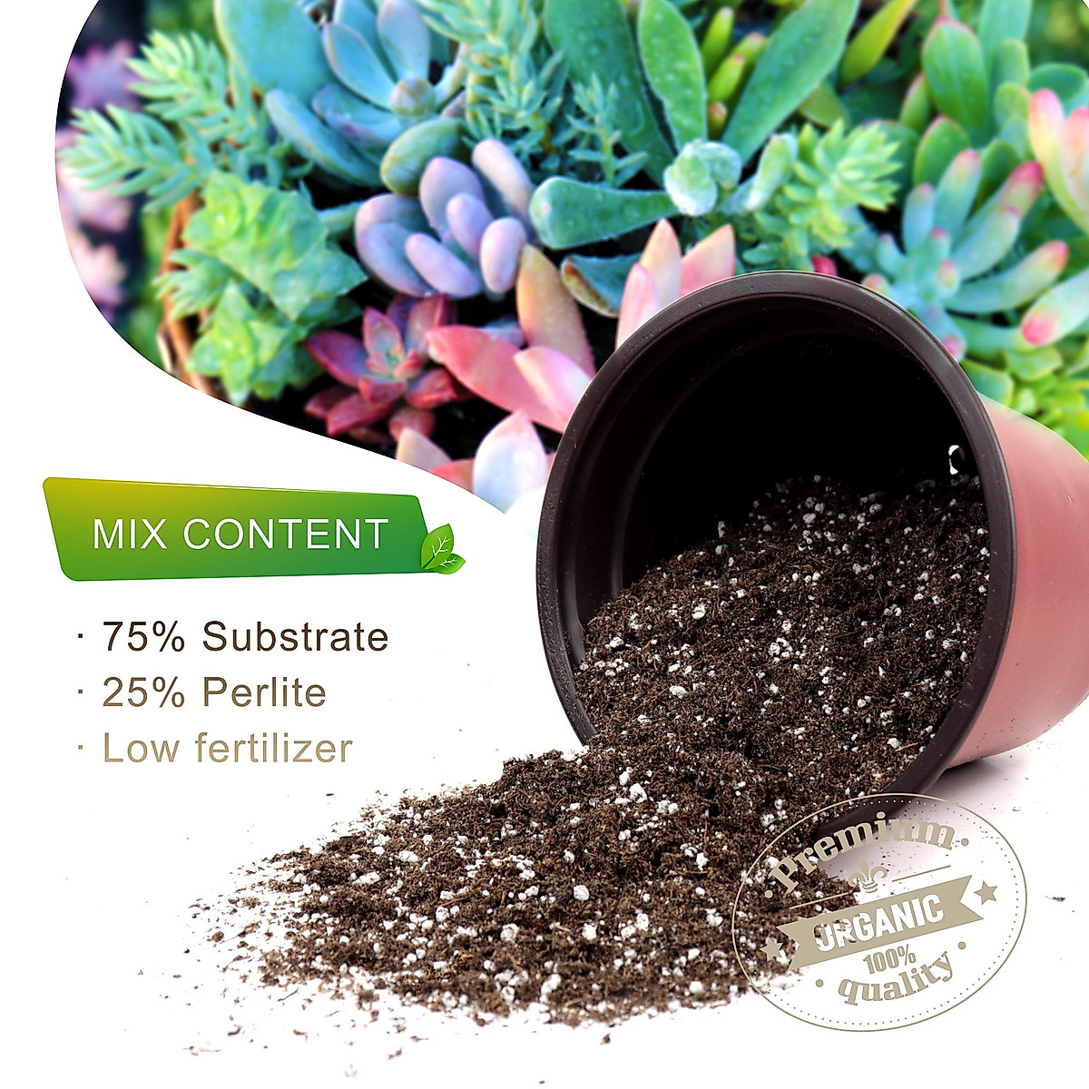 Organic Potting Soil, Cactus and Succulent Soil Mix, Professional Grower Mix Soil, Fast Draining Pre-Mixed Coarse Blend (2 Quarts)