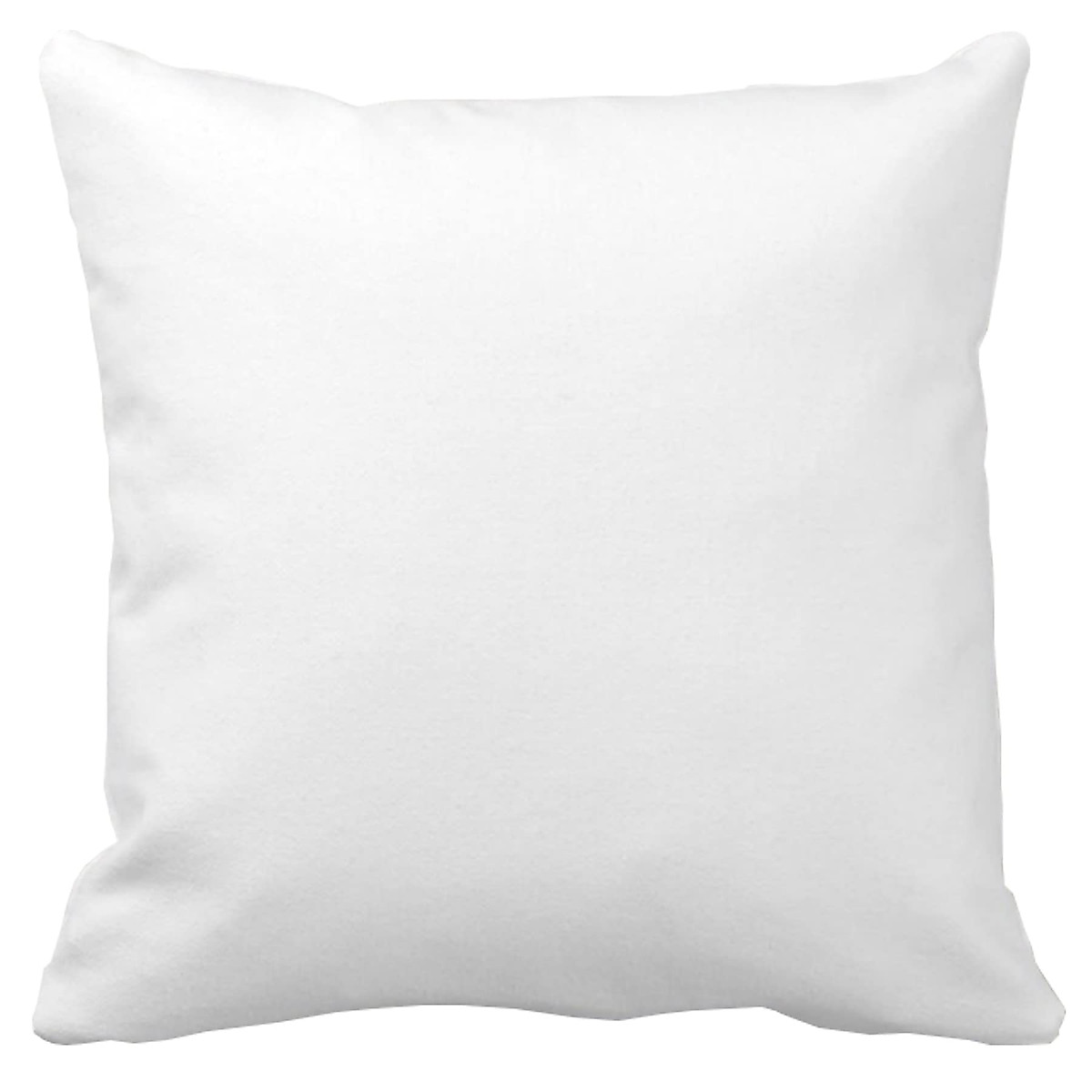 Decorbox Lazy Black Cat 18x18 Inch Throw Pillow Cover,Kitty Lover Minimalism Decorative Cushion Case,Home Room Bed Couch Spring Summer Fall Autumn Winter Halloween Christmas Decor Gift Soft Pillowcase