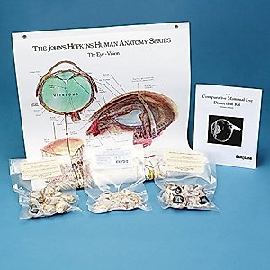 Comparative Mammalian Eye Dissection Kit