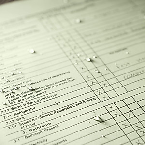 Rite In The Rain Weatherproof Laser Printer Paper, 8 1/2" x 11", 32# Green Colored Printer Paper, 500 Sheet Pack (No. 328511G)