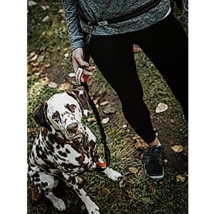 IRON DOGGY Extra Belt (Belt only)