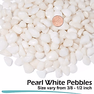 GASPRO 5 Pound Aquarium Gravel and White Pebbles, White Rocks for Plants, Vases, Natural Decorative Pebbles for Succulents, Terrarium, Cactus