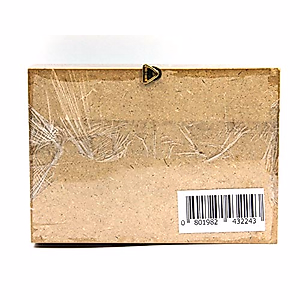 SET 5 REAL FROG LEGGED LEAF BEETLES SAGRA INSECT TAXIDERMY SET IN BOX / 3D WOODEN FRAME (Wooden Box)