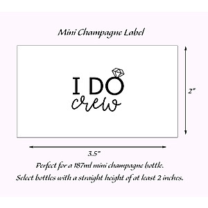 Bridesmaid Mini Champagne Labels ● SET of 10 ● I Do Crew Gifts, Thank you Favors, Will You Be My Maid of Honor Ask Bridal Party Proposal, Wine Stickers Team Bride Tribe Squad Candle Label M200-RNG-10
