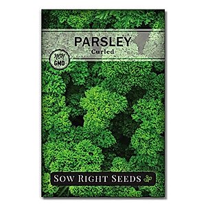 Sow Right Seeds - Curly Leaf Parsley Seed for Planting - Non-GMO Heirloom - Instructions to Plant and Grow a Kitchen Herb Garden, Indoor or Outdoor; Great Gardening Gift (1)