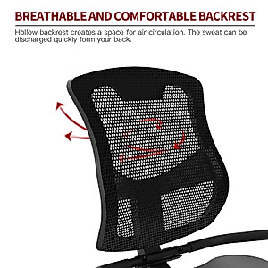 Recumbent Exercise Bike for Seniors 350 LBS Capacity with Magnetic Resistance Indoor Cycling Bike Stationary with iPad Holder for Home Gym Cardio Workout