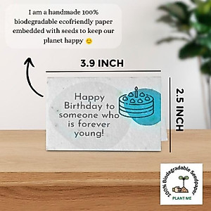 Habitage Seed Paper Birthday Greeting Cards - Set of 12 Eco-friendly Plantable Cards with Envelopes and Gift box | Variety Pack | Recycled Paper Embedded with Holy Basil seeds