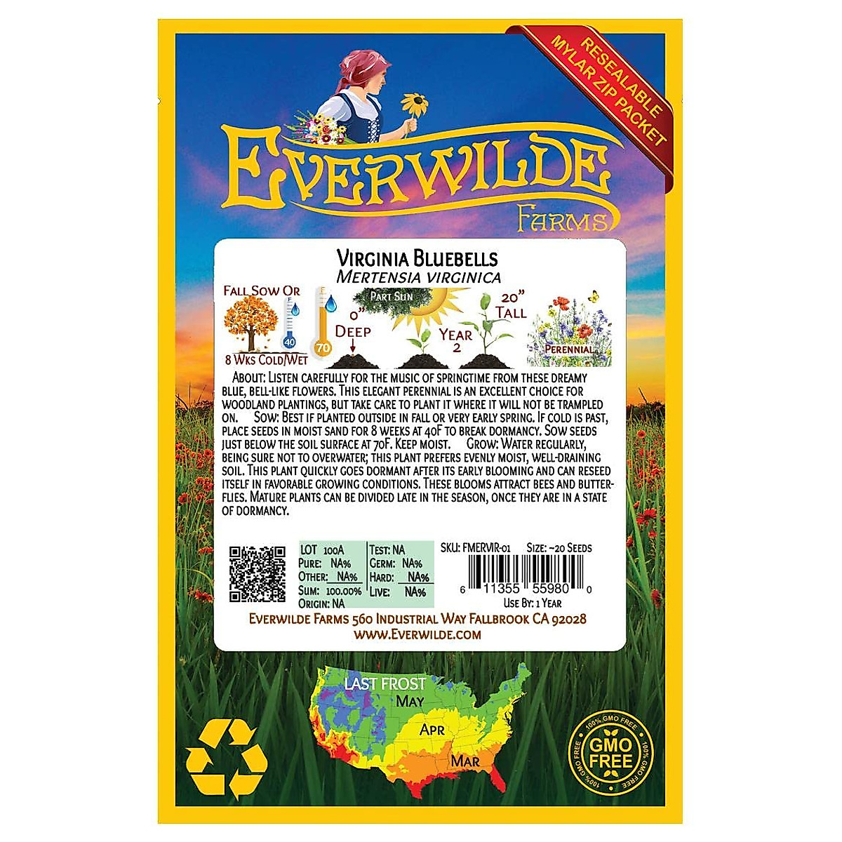 Everwilde Farms - 20 Virginia Bluebells Native Wildflower Seeds - Gold Vault Jumbo Seed Packet