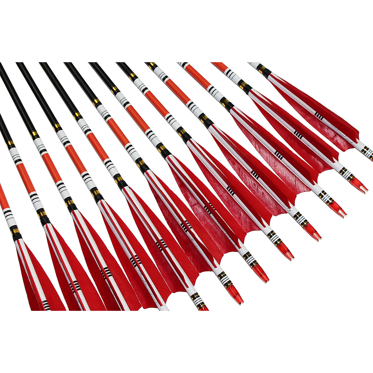 TTFLY FLETCHING 12PCS Red Turkey Feather 31 inches Carbon Arrows Replacement Tips Targeting Arrows Archery for Recurve Longbow Hunting&Practice