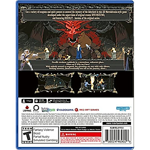 Record of Lodoss War: Deedlit in Wonder Labyrinth - PlayStation 5