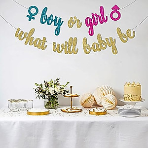 Pre-Strung Boy or Girl What Will Baby Be Banner, Gold Blue Pink Glitter Gender Reveal Decorations, He or She, Blue or Pink, Boy or Girl We Love You Banner, Baby Shower Gender Reveal Party Supplies