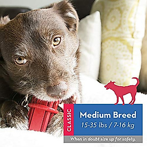 KONG - Dental Stick - Durable Rubber, Teeth and Gum Cleaning Dog Toy - for Medium Dogs