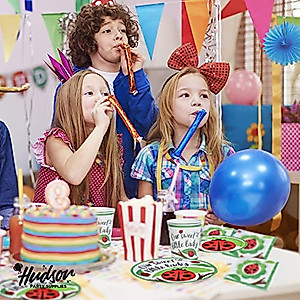 Ladybug Birthday Party Supplies - (Serves 24) - Ladybug Dinner Plates, Dessert Plates, Cups, Napkins. Ladybug decorations for Kids, Boys, Girls and More.