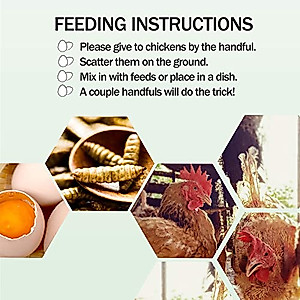 Amzey 10LBS Dried Black Soldier Fly Larva/Dried Mealworms - 100% Natural BSF Larvae - 85XMore Calcium Than Mealworms - High Calcium Treats for Chickens, Birds, Reptiles, Hedgehog, Geckos, Turtles