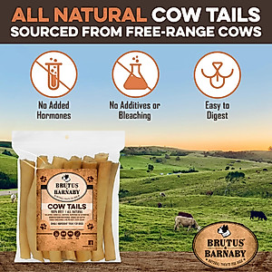 BRUTUS & BARNABY 100% Natural Cow Tails Dog Treat - Our Healthy Cow Tails for Dogs are Easy to Digest, Chemical & Hormone Free - Thick & Hearty Chew, Great Rawhide Alternative for Small Or Large Dogs