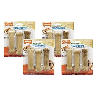 Nylabone 12-Count Healthy Edibles Lamb and Apple Flavored Puppy Dog Treat Bones, Size Regular - (4 Packs with 3 per Pack)