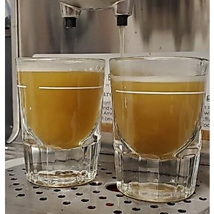 Poverty Bay White Tornado White Coffee Beans 1lb Bag Light Roast Coffee