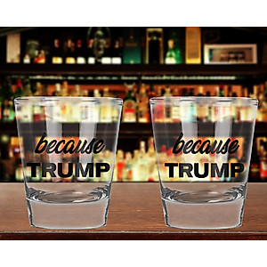 CBTwear - Because Trump - Anti Trump Funny Gag Idea - Birthday for men or women - 1.75 OZ Shot Glass Set (2)