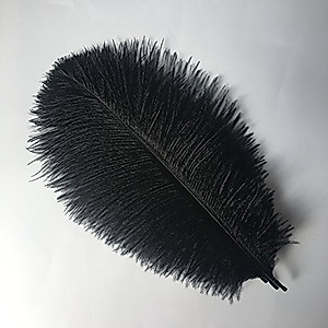 Sowder 6-8inch(15-20cm) Ostrich Feathers Plume for Wedding Centerpieces Home Decoration Pack of 10pcs (Black)