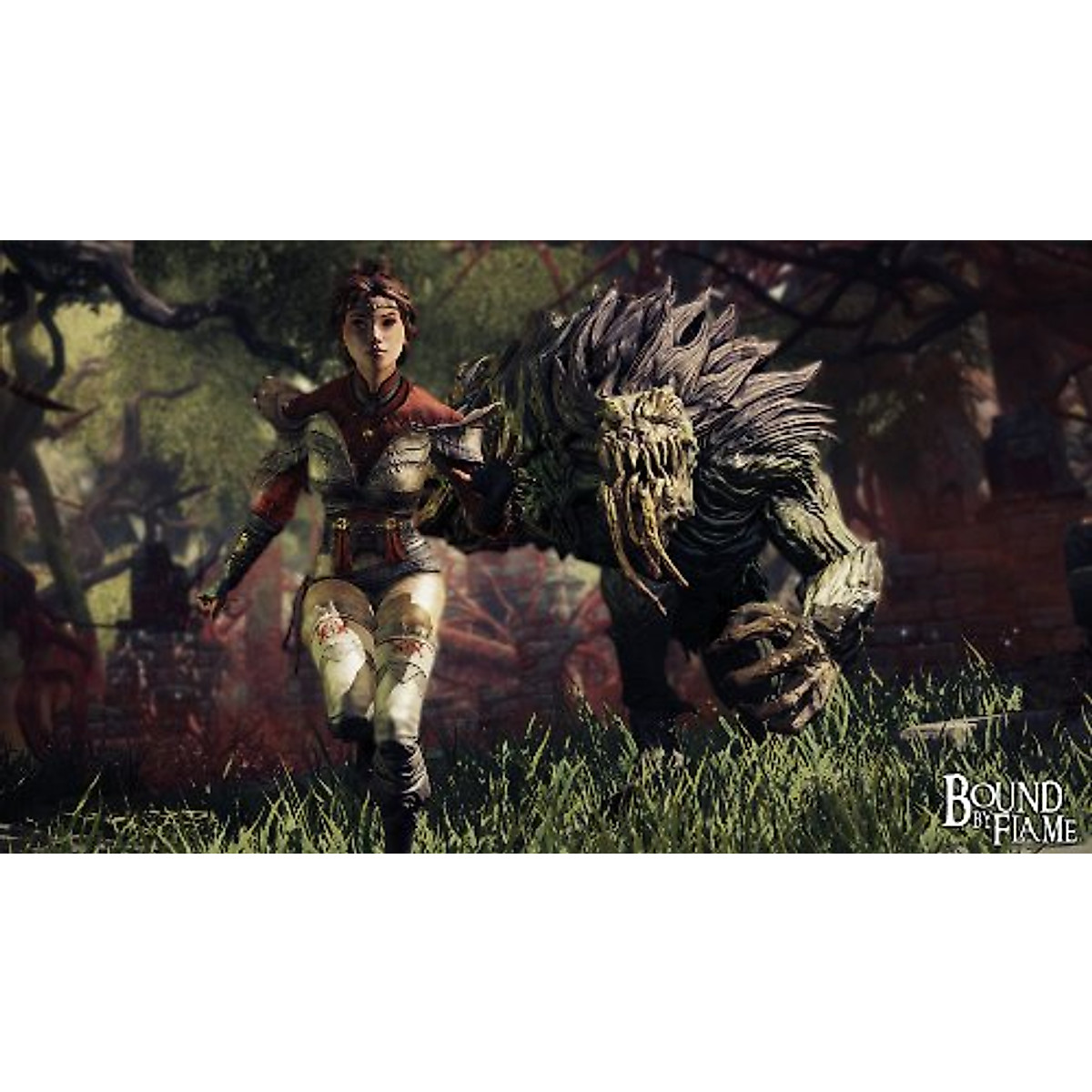 Bound by Flame - PlayStation 4 Standard Edition