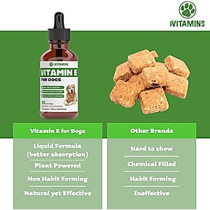 Vitamin E for Dogs | Vitamin E Dog | Vitamin E for Dog | Dog Vitamins E | Vitamin E Canine | Vitamin E Supplement for Dogs | Vitamin E Oil Dog | Dog Vitamins | Dog Immune Support | 1 fl oz