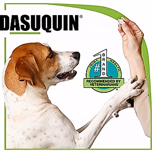Nutramax Dasuquin Joint Health Supplement for Large Dogs - With Glucosamine, Chondroitin, ASU, Boswellia Serrata Extract, and Green Tea Extract, 84 Chewable Tablets