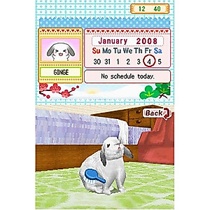 Petz Bunnyz - Nintendo DS