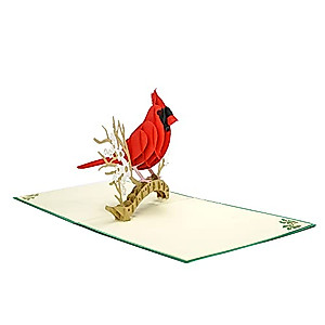 CUTPOPUP Mother's Day, Birthday Card Pop Up, 3D Greeting Card (Red Cardinal)