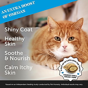 Pet Honesty Cat Skin & Coat Health Chews - Omegas, Vitamin C + E, Biotin Supplement, Soothes Skin and Promotes Shiny Coat, Cat Supplements & Vitamins - Chicken (30-Day Supply)