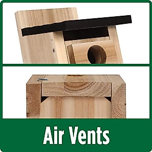 Wild Wings WWCH3 Cedar Blue Bird Box House