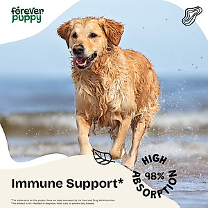 Reishi Mushroom Drops for Dogs - Immune Support Supplement - Red Reishi Mushroom Liquid Drops for Canine Immune Support - Reishi Mushroom Supplement for Pets - Dog Food Supplements for Immunity - 2 oz