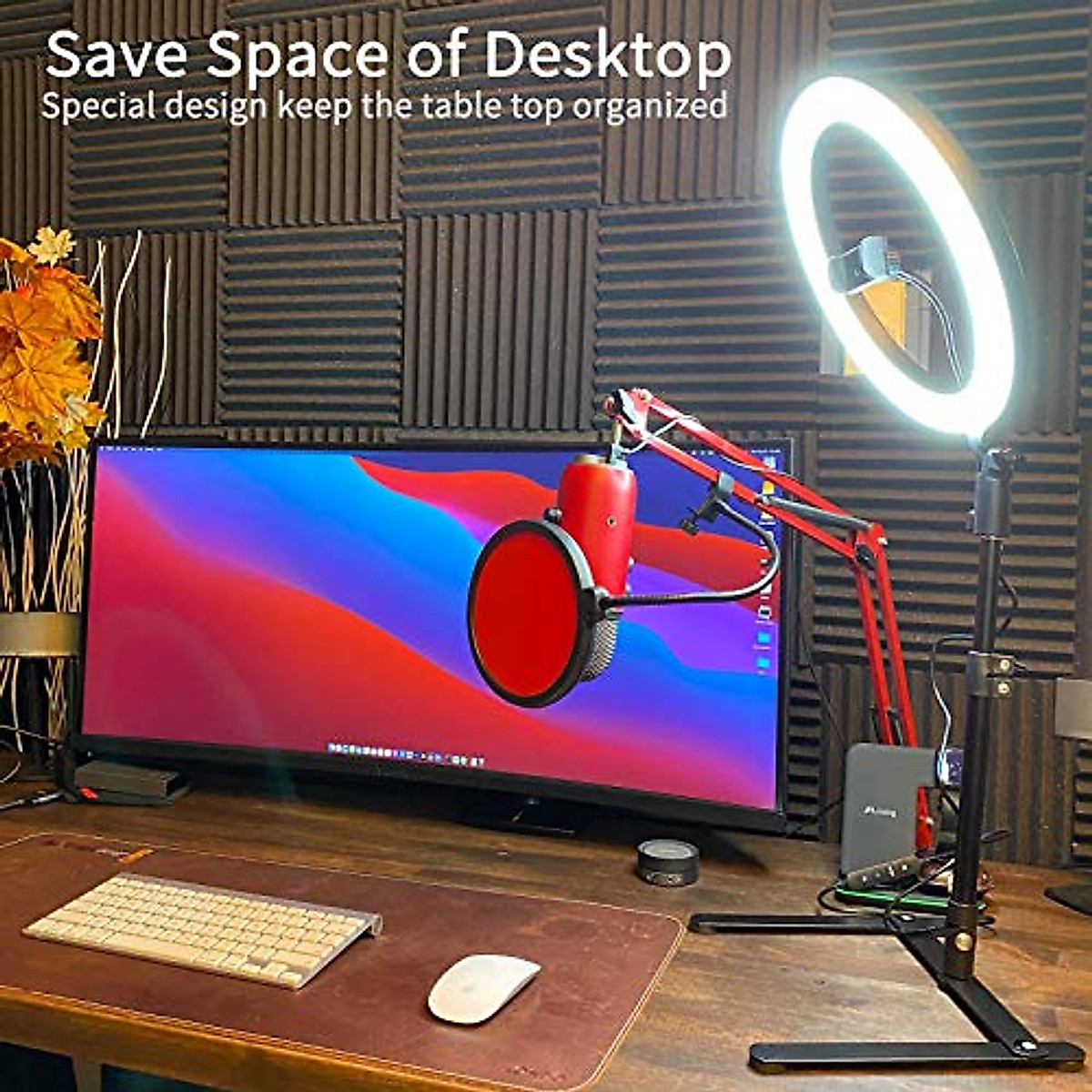 Godox LR120 12" LED Ring Light with Desktop Stand & Cell Phone Holder, USB Powered Conference Light CRI>90 Color Temperature 3000K to 6000K for TikTok/Live Stream/Makeup/Zoom Call & YouTube (Black)