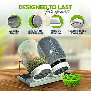 Premium Sprouts Growing Kit & Green Onion Regrower with 2 Mason Jars & Superior Sprout lids. Perfect Sprouter Set for Growing Broccoli, Alfalfa & Beans.