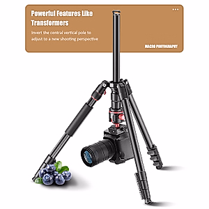 CAMBOFOTO 78"-DSLR-Camera-Tripod, Ball Head Professional Aluminum SLR Photography Tripod & Monopod with Carry Bag Compatible with Canon Nikon Binoculars Laser Telescope (Weight 3.55 Lbs, 33 Lbs Load)