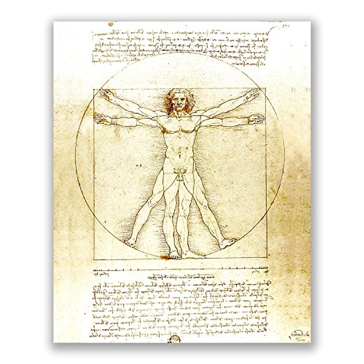 Leonardo Da Vinci Art Prints - Set Of 4 (8 Inches X 10 Inches) Wall Decor Photos - Vitruvian Man Drawing Sketch Renaissance Poster