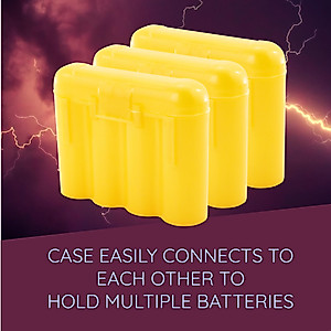 EBC Battery 2 Gold Plastic AA AAA Battery Holder Box Storage Cases