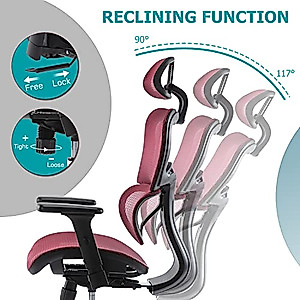 Ergonomic Office Chair, Reclining High Back Mesh Chair, Computer Desk Chair, Swivel Rolling Home Task Chair with Lumbar Support, 3D Adjustable Headrest and Armrests