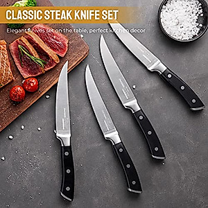 OAKSWARE Steak Knives, Non Serrated Steak Knife Set of 4, 5 Inch German Steel Steak Knife Set, 4 Pieces Professional Straight Edge Kitchen Table Dinner Knives - Full Tang Ergonomic Handle