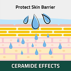 Breezytail PetO'Cera Mist Sensitive - Itch Relief Spray for Cats | Fragrance-Free & Unscented | Regain Healthy Skin with Ceramide | Dry, Irritated Skin Solution | 5.07oz…